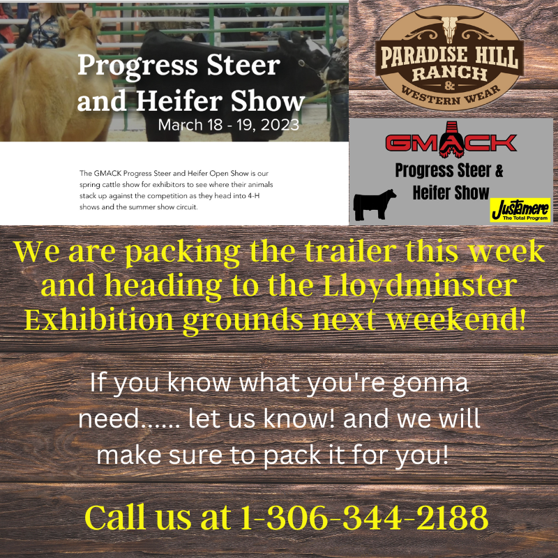 We are Packing the Trailer! – Paradise Hill Ranch and Western Wear